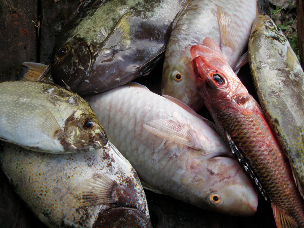 MCYoungChampions: 03.30.12, YAP. Jonathan Gorong blogs.