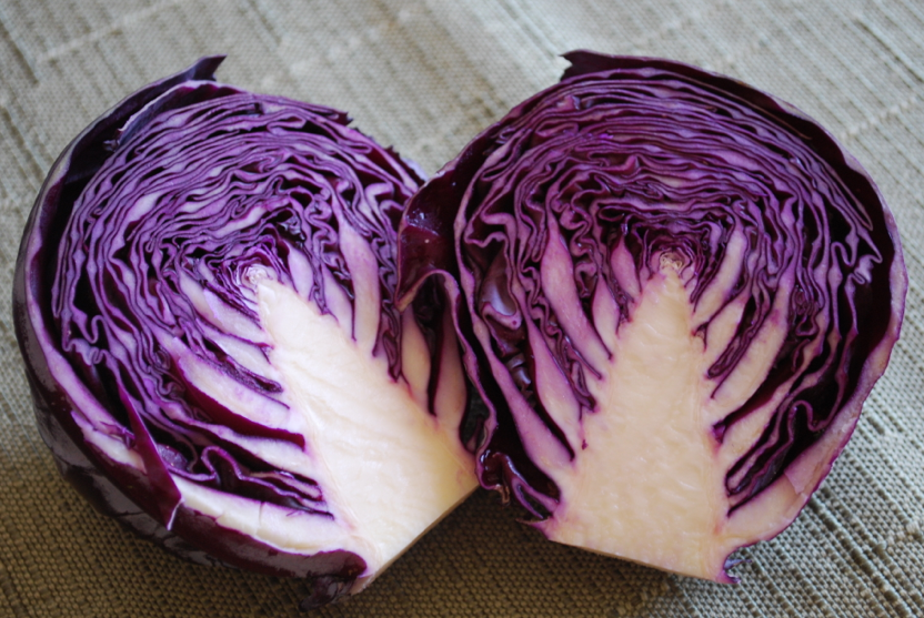 Foodie Judy & Her Kitchen Garden