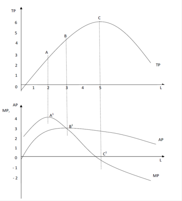 Kuliah Manajemen: Fungsi Produksi, Isocost, Isoquant, Hubungan Isocost ...