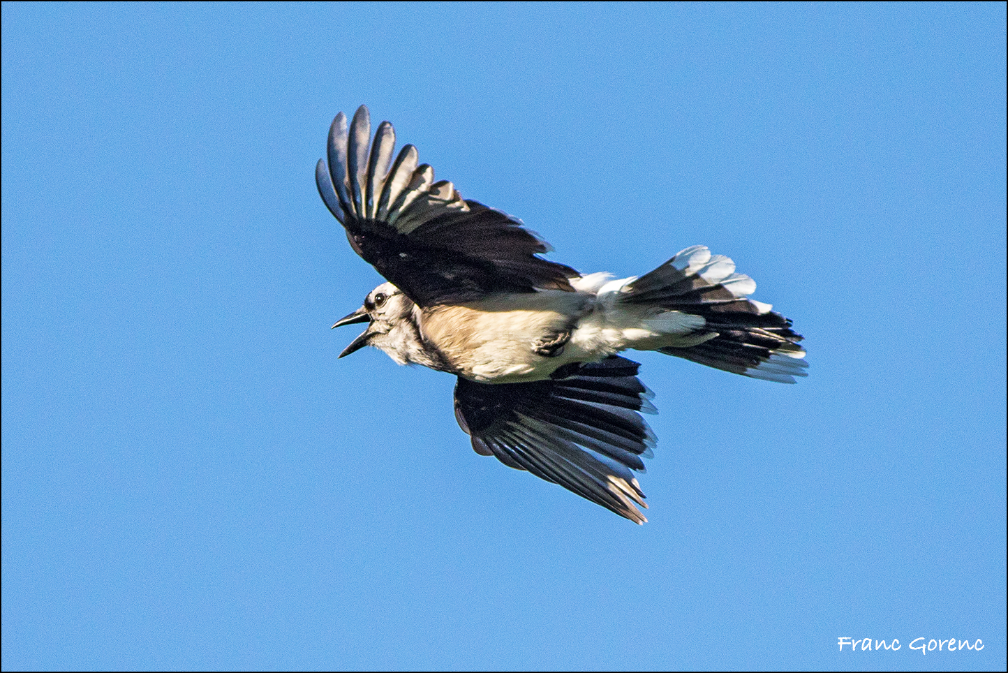 Tuesday Rambles with David - The Linear Trail, Cambridge, ON - Travels ...