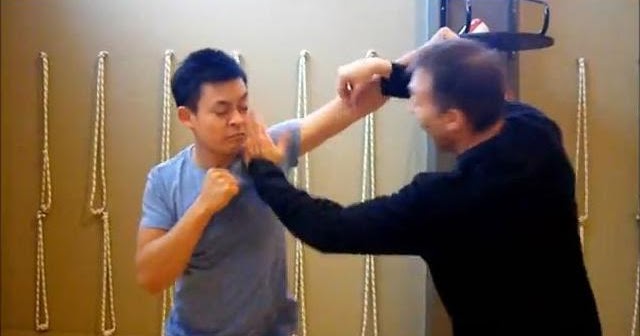 Single whip: Part 2 - general applications