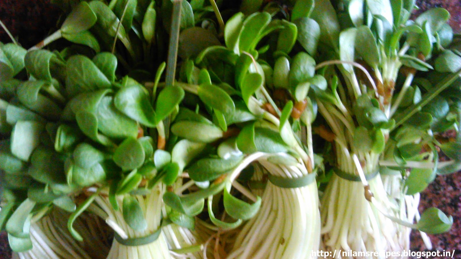 बाळ मेथीची भाजी | Nilam's Recipes