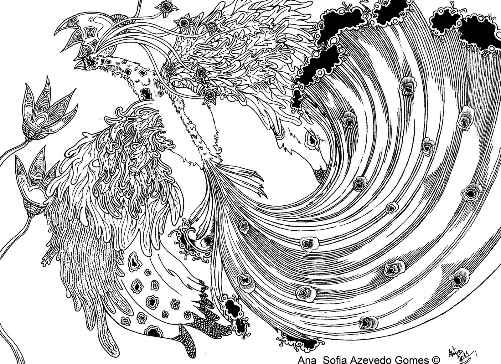 Ana Sofia A.Gomes: Ink Drawing Chinese Peakcock - This Drawing was ...