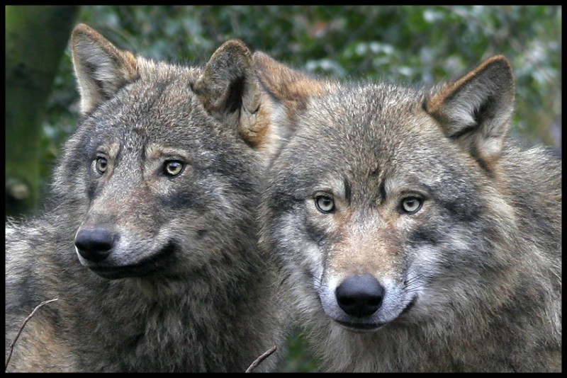 La Historia de la Semana