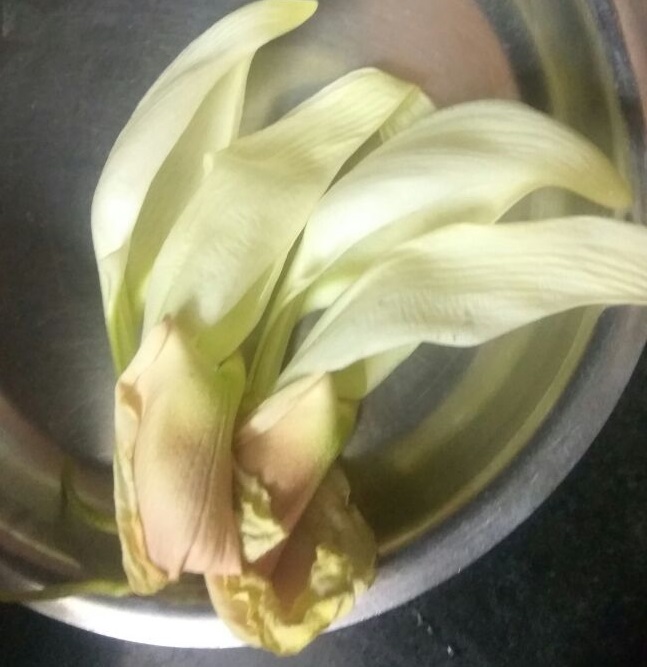 Recipe: Agathi Poo(Sesbania grandiflora) Soup!