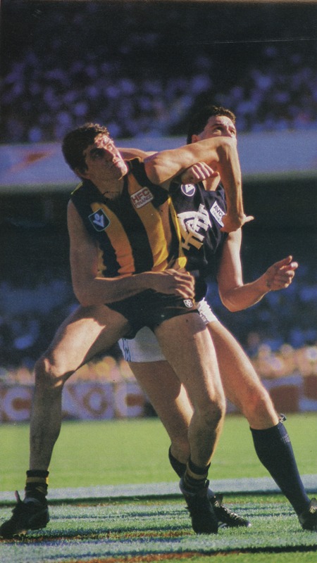 Beside the Yarra: The VFL/AFL Grand Final: A Pictorial History
