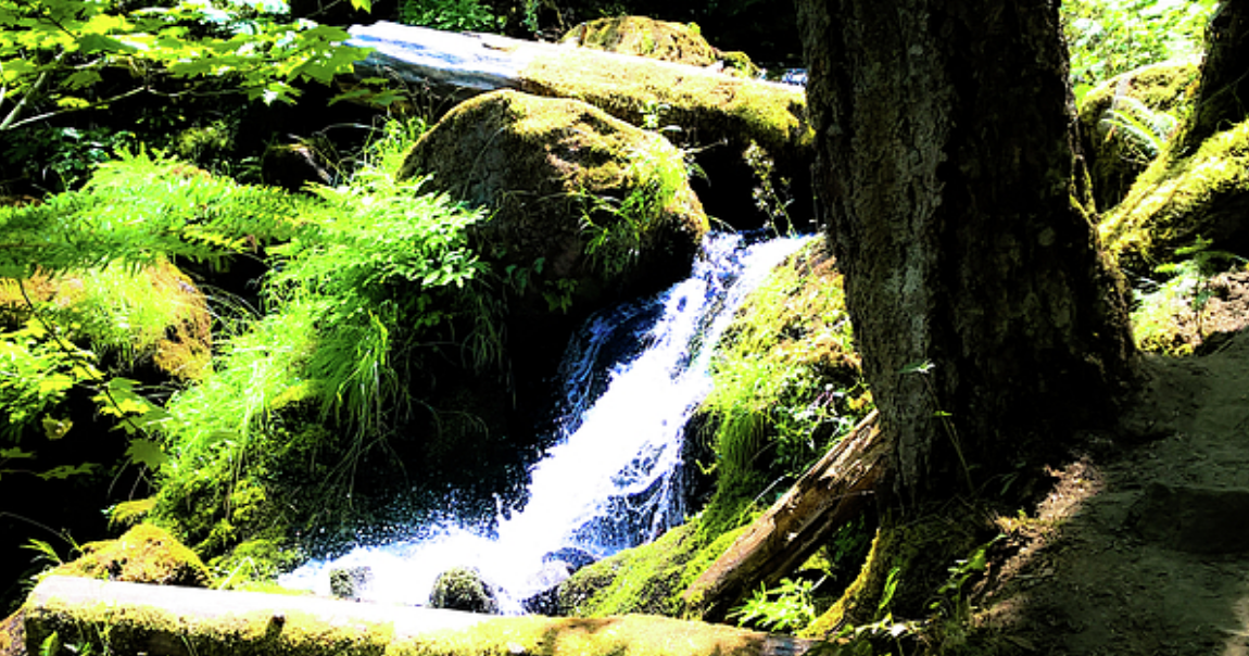 Photographers International: "Oregon Spring" Fine Art Landscape ...