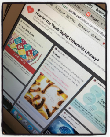 The Library Voice: How Do You Teach Digital Citizenship Literacy? We ...