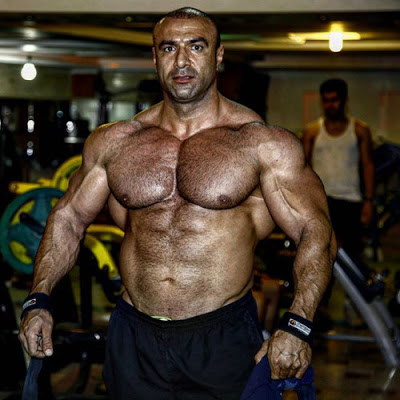 world bodybuilders pictures: persian bodybuilder mohsin ghorannevis ...