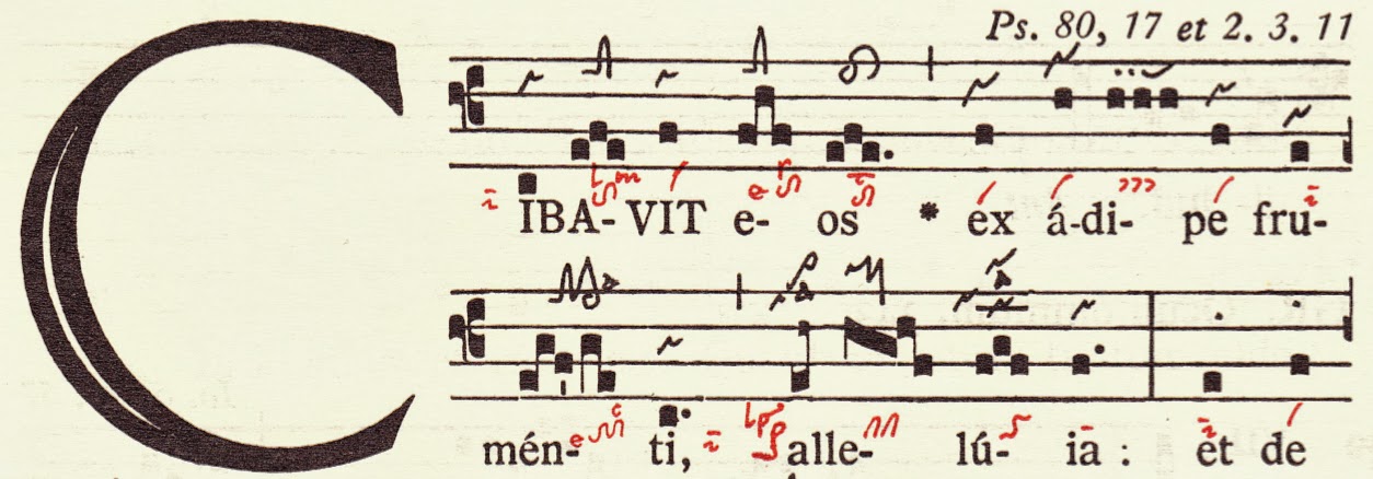 A Quick and Bloodless Look at Chant Interpretation - Chant Café