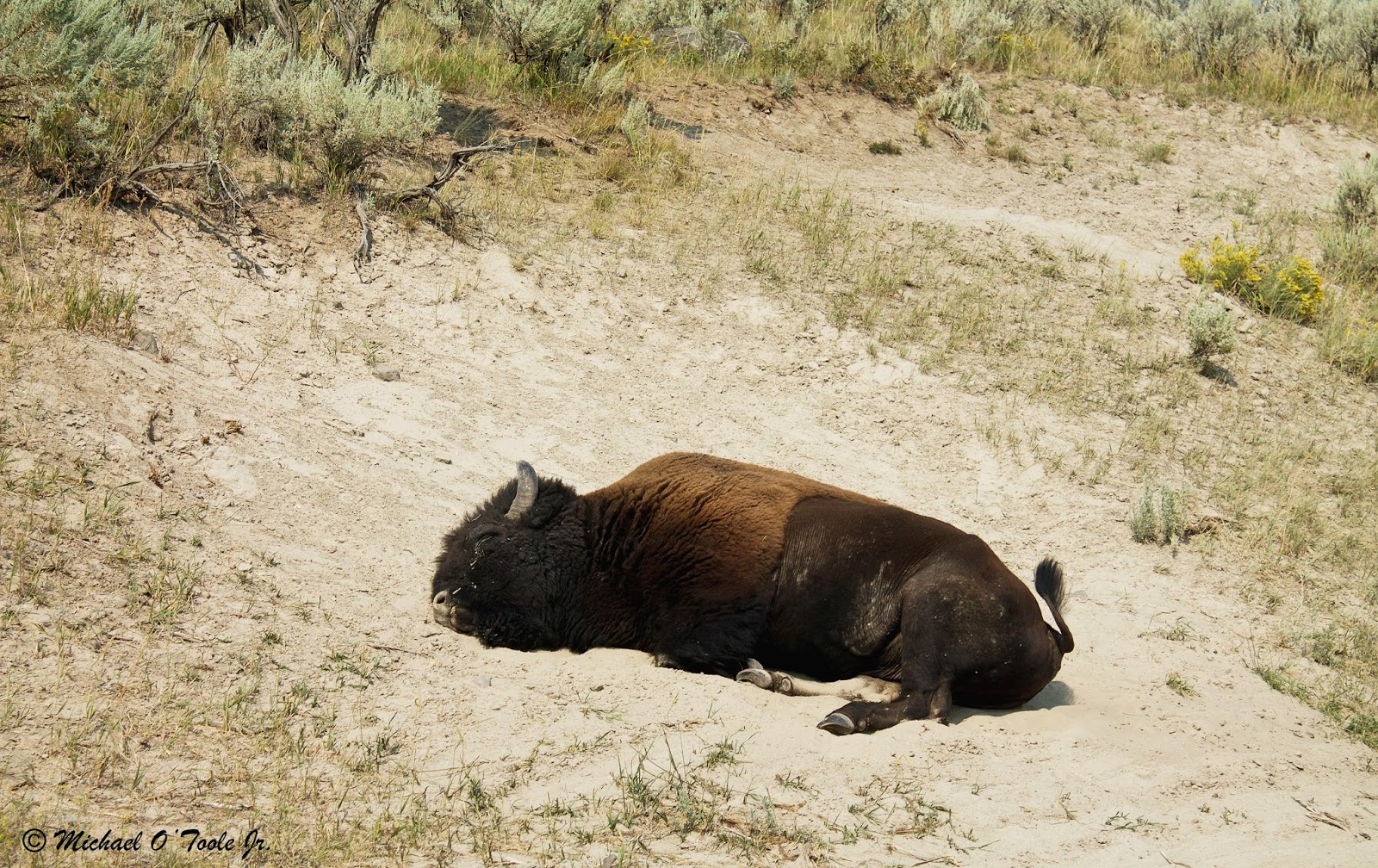 Michael O'Toole Jr. Living The Life Photography