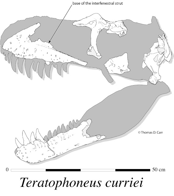 Tyrannosauroidea central: July 2013