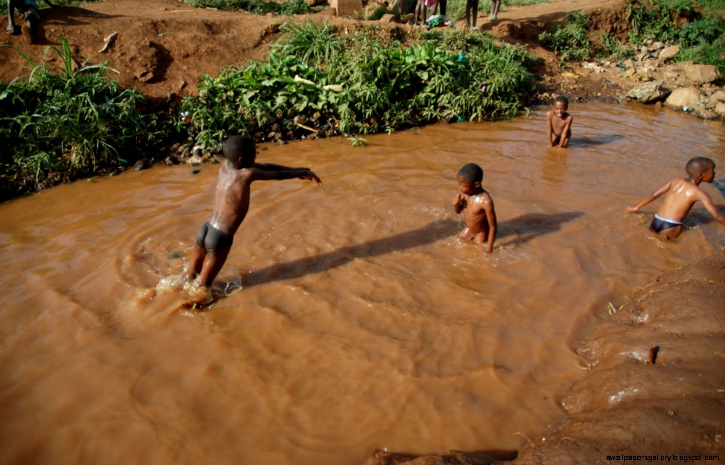 Dirty River Water Wallpapers Gallery dirty-river-water-wallpapers-gallery