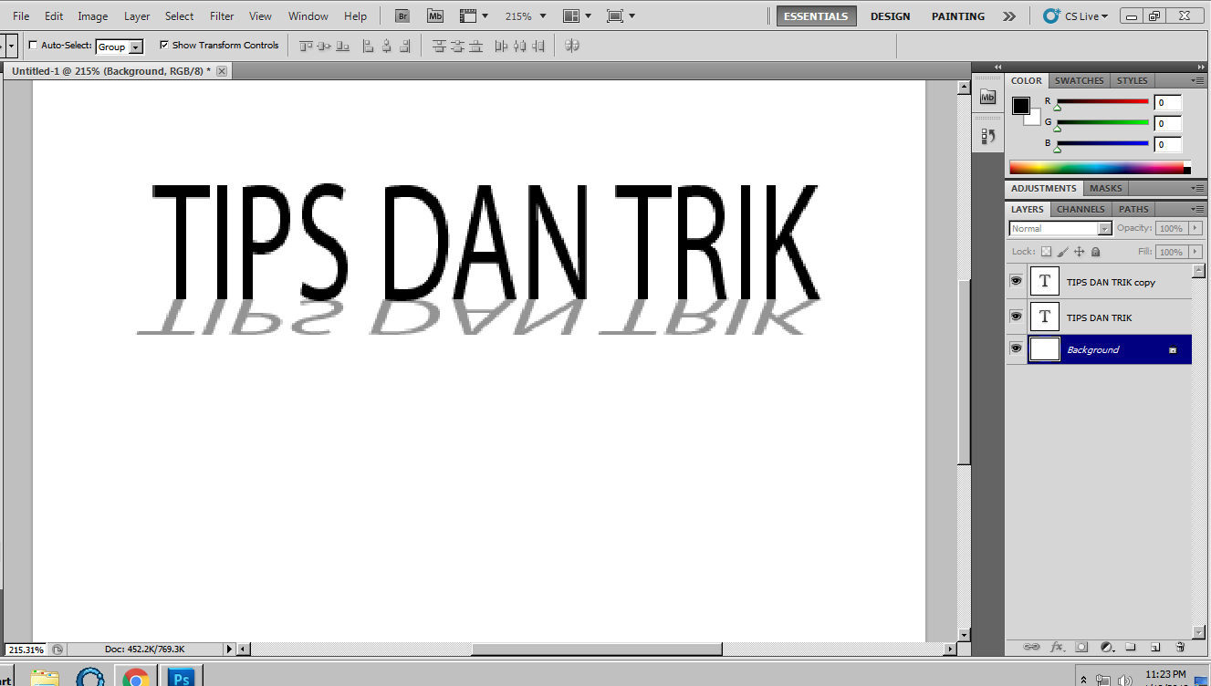 Trik Cepat ZOOM IN atau ZOOM OUT dengan Adobe PhotoShop ~ Pace Sasawa