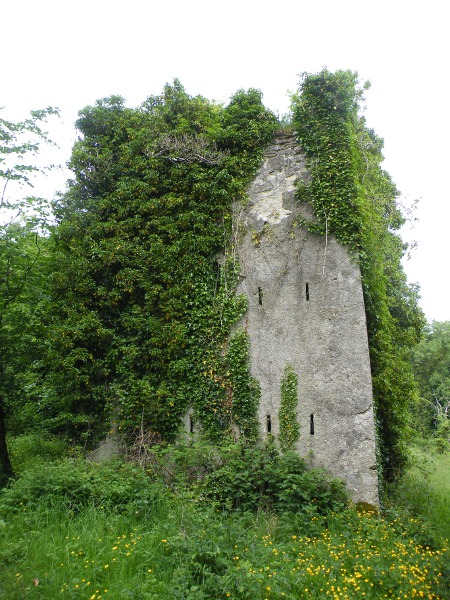 Kerryvanning: Castle Caldwell