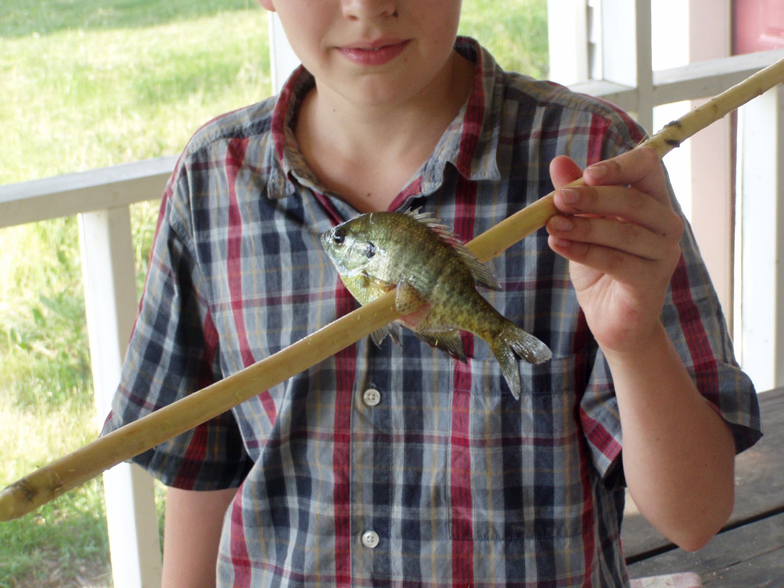 FOUTFOLK: spearing fish...