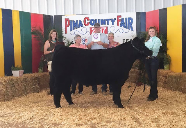 RCC Blog: Grand Champion Market Steer Pima County Fair Tuscon, Arizona ...