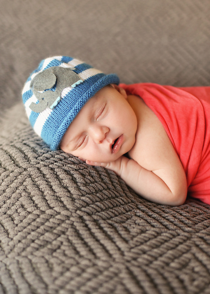 Butterfly Chaser Photography: Kelton