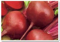 vegetable lovers: Beetroot - Chukandar