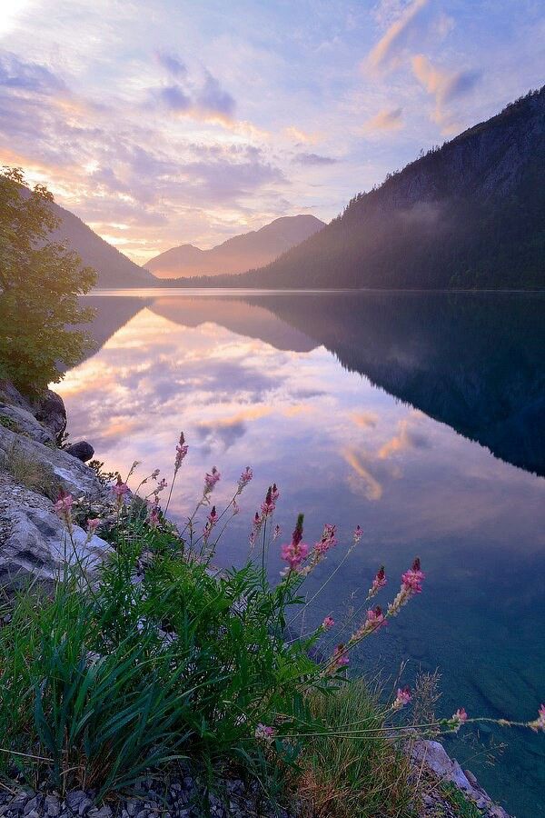 Biggest Dream...Vienna, Austria!