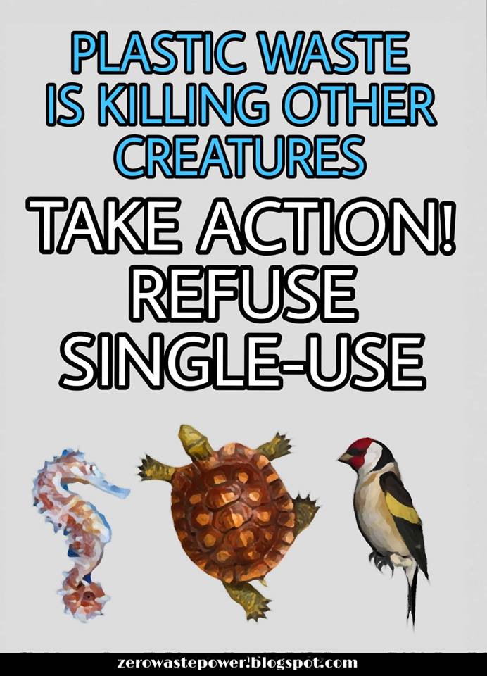 Why We Should Refuse Single-Use Plastic