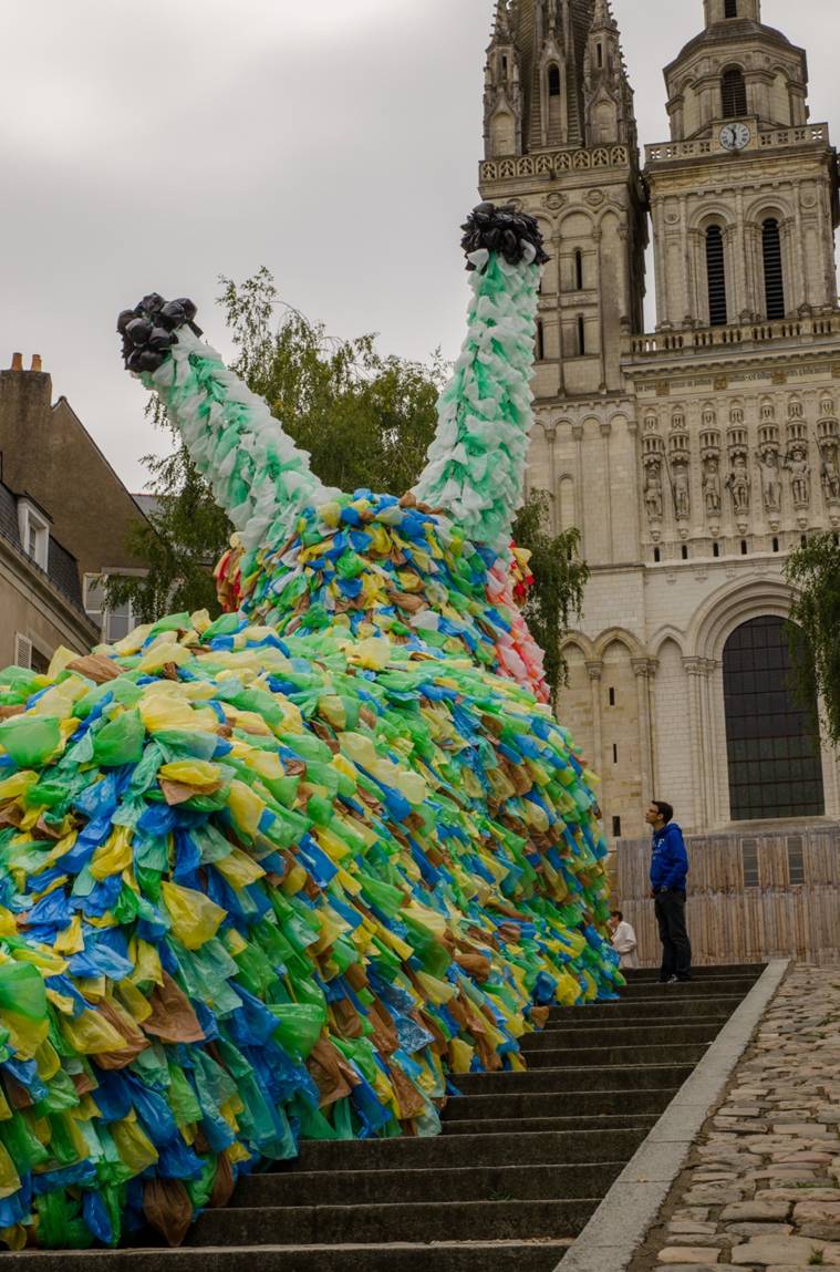 The Giant Slugs of Angers ~ Kuriositas