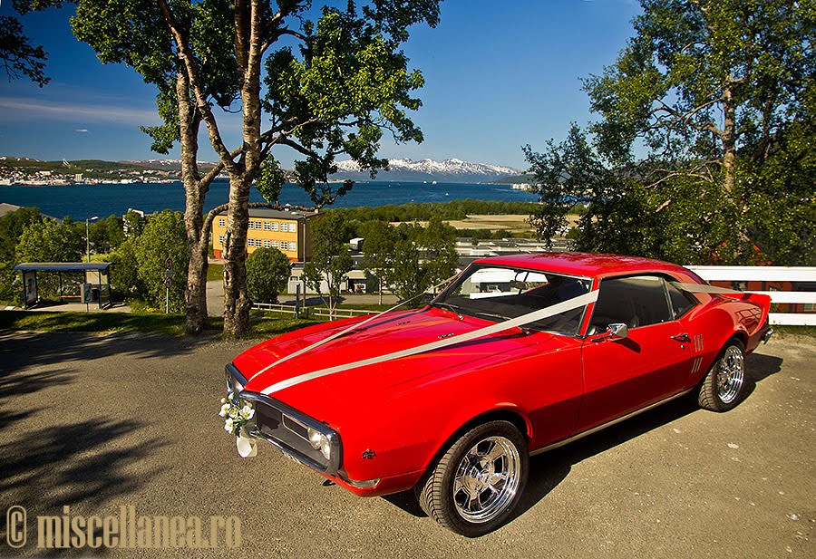 Miscellanea: Norge: Maşini americane