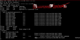 Penetration Testing with Nmap IV: Identificando vulnerabilidades por ...