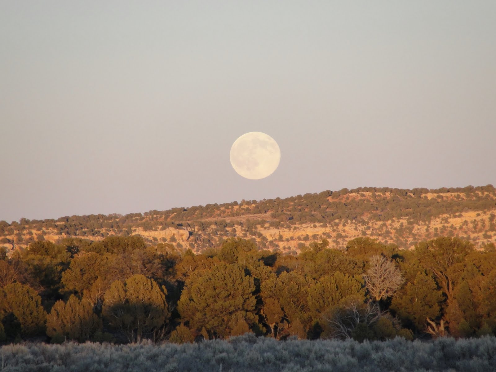 Janie and Steve, Utah Trails: Bird and Bees