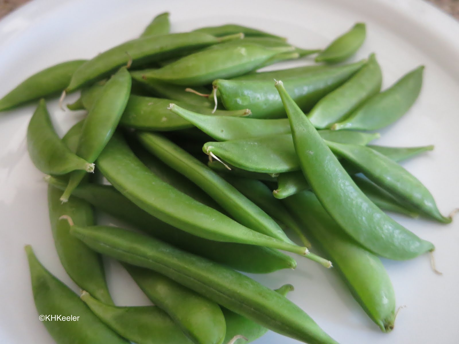 A Wandering Botanist: Plant Story--Peas, Pisum sativum