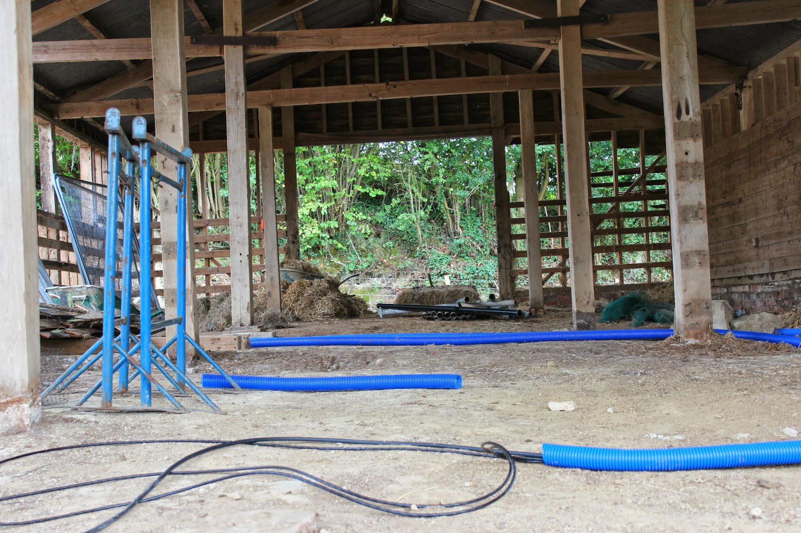 Barn Girl Day 3 Naked Barn