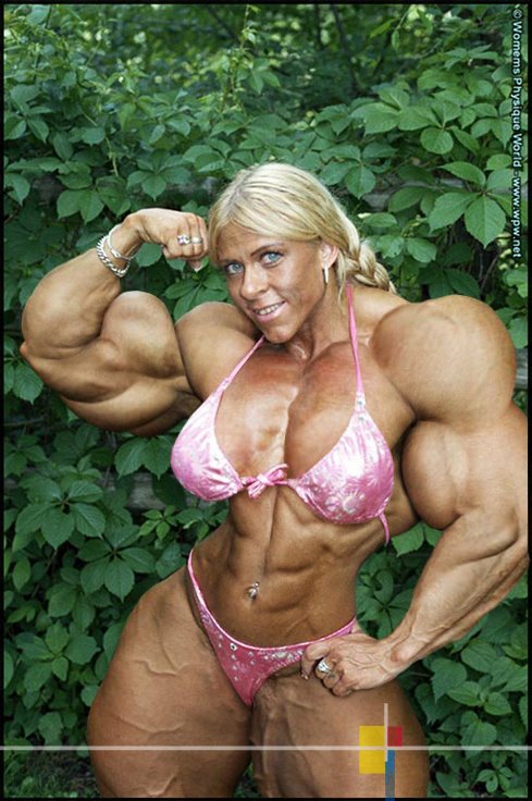 Area Orion: December 2013