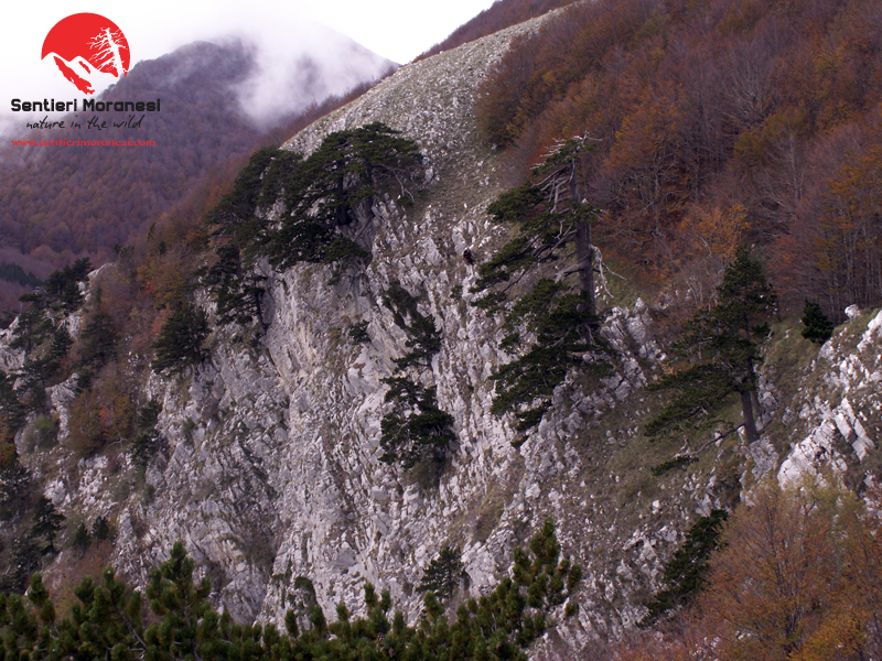 Pollinomountainrange: L'anello di Timpone della Capanna dalla cresta Ovest
