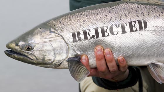 Wild Roses & Apple chips: March 2013