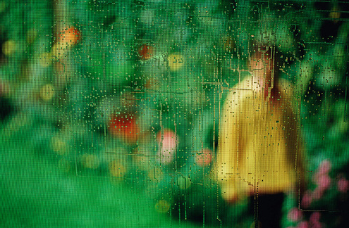 Hunters & Gatherers at Home: Brilliant Perspectives