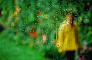 Hunters & Gatherers at Home: Brilliant Perspectives