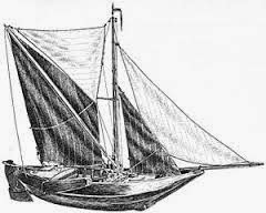 'ZIEN EN WETEN': HOOGAARS. WAT IS DAT?