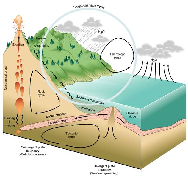 Kimeni's Blog: Daur Biogeokimia
