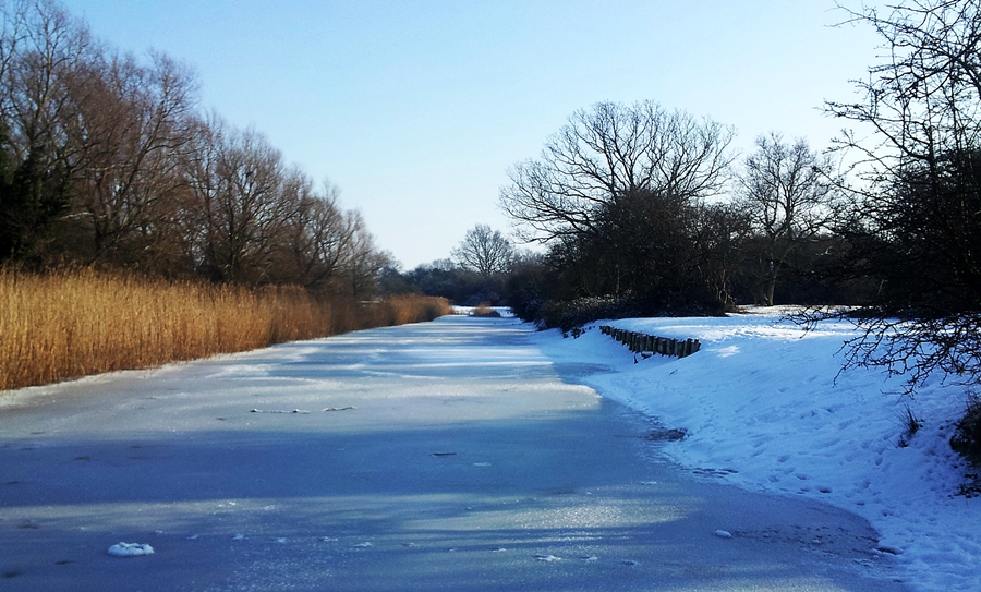 FAST TRACK TO NOWHERE IN PARTICULAR: February 2012