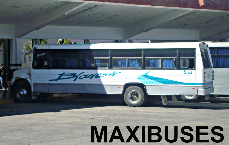 MAXIBUSES: AUTOBUSES BLANCOS COORDINADOS - ABC