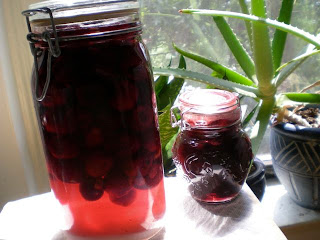 Temperate Climate Permaculture: How to Make Cordial