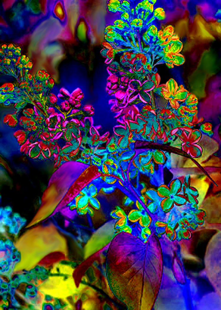 CaaT ~ Complementary ArT and Things: Color Merge ~ the art of Bernice ...