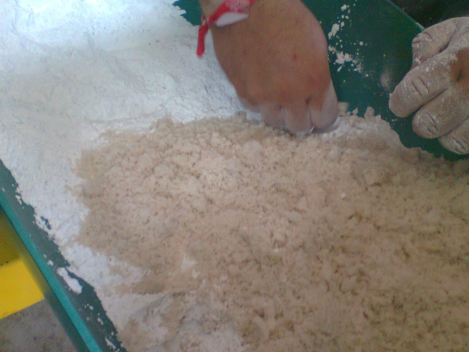 NUTRICION ANIMAL: SAL MINERALIZADA