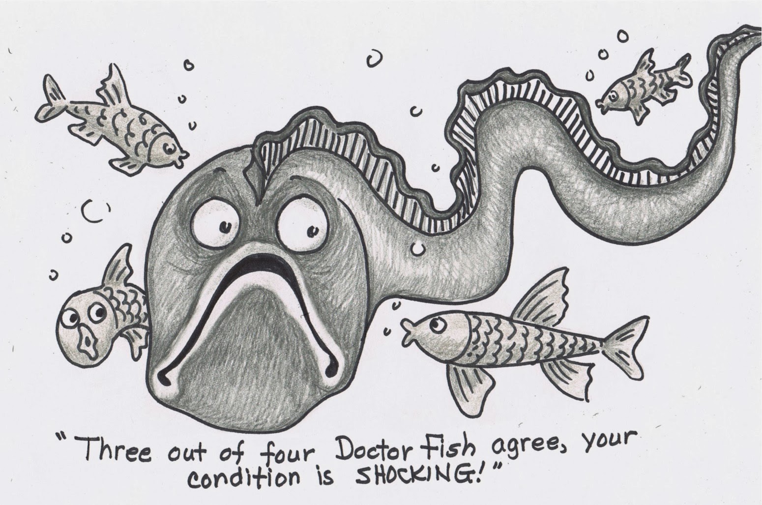 Louann Mattes Brown: D is for Doctor Fish, E is for Electric Eel