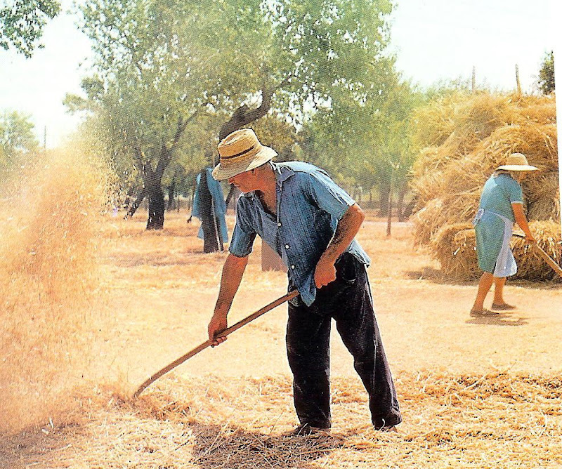 UEP!: MALLORQUINES Y FORASTEROS.