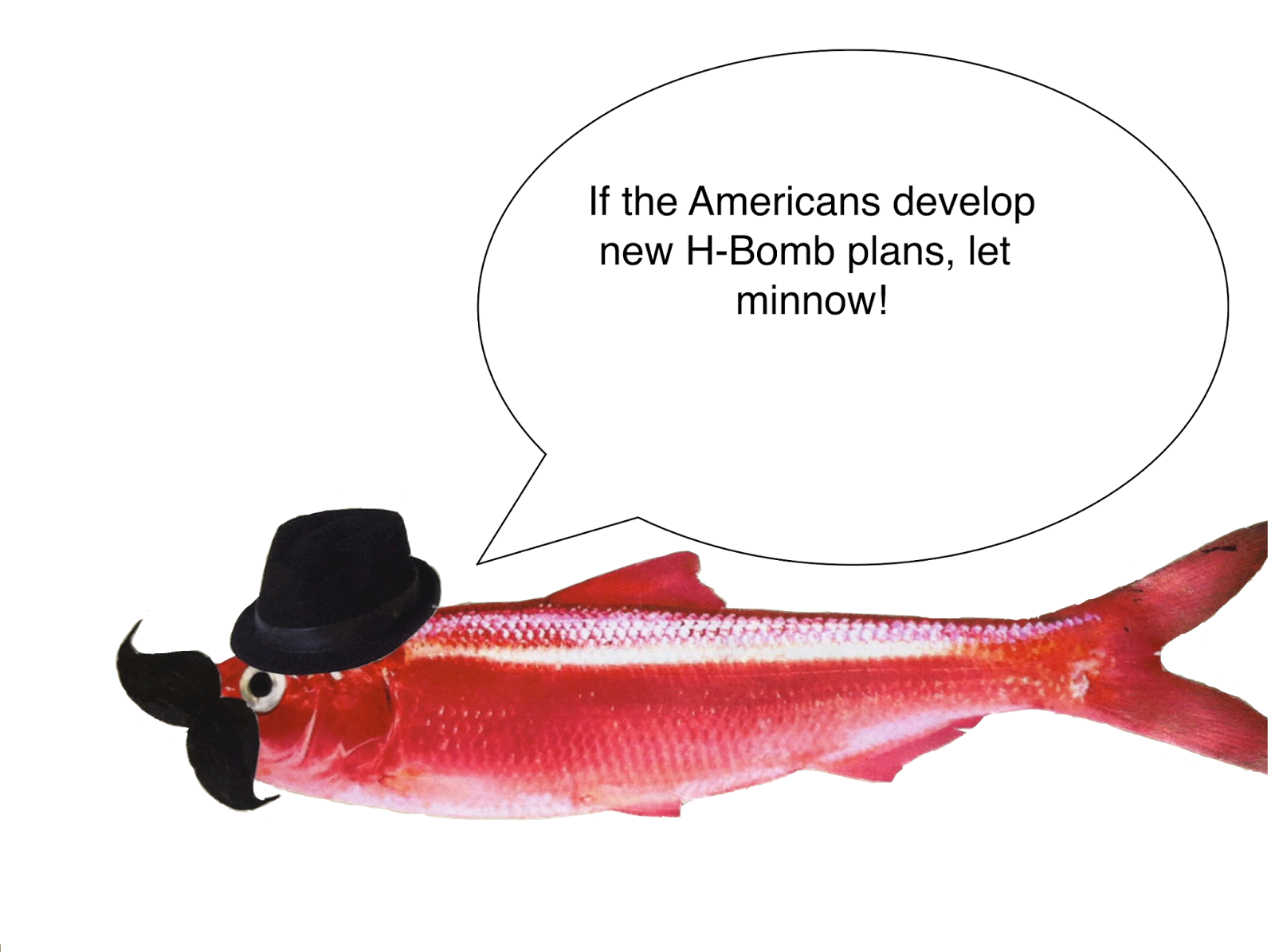 Villanova Theatre Talk: Fishy Fun!