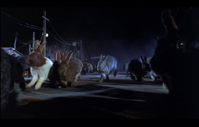 Bunny.: Conejos de Película top 5 vol.III