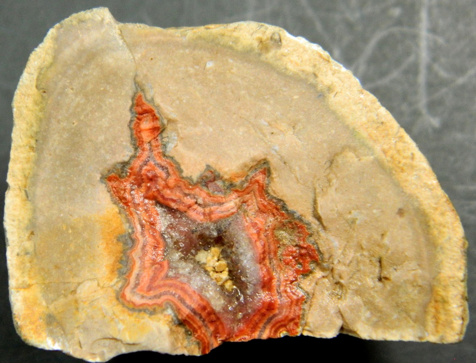 CSMS GEOLOGY POST: 2017