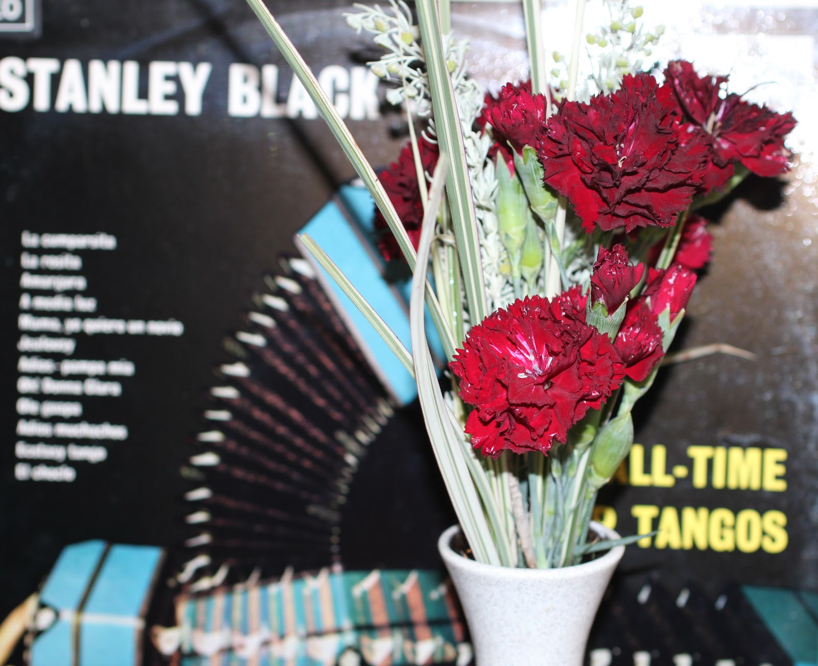 Florez Nursery: Carnation 'King of the Blacks'