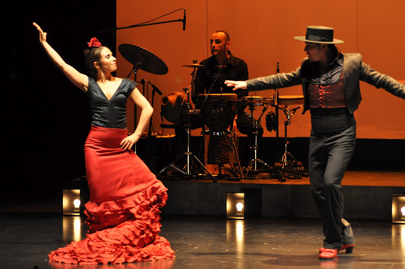 Panorama Cultural: Danza Flamenca Contemporá nea, VAMOS el próximo 30 ...